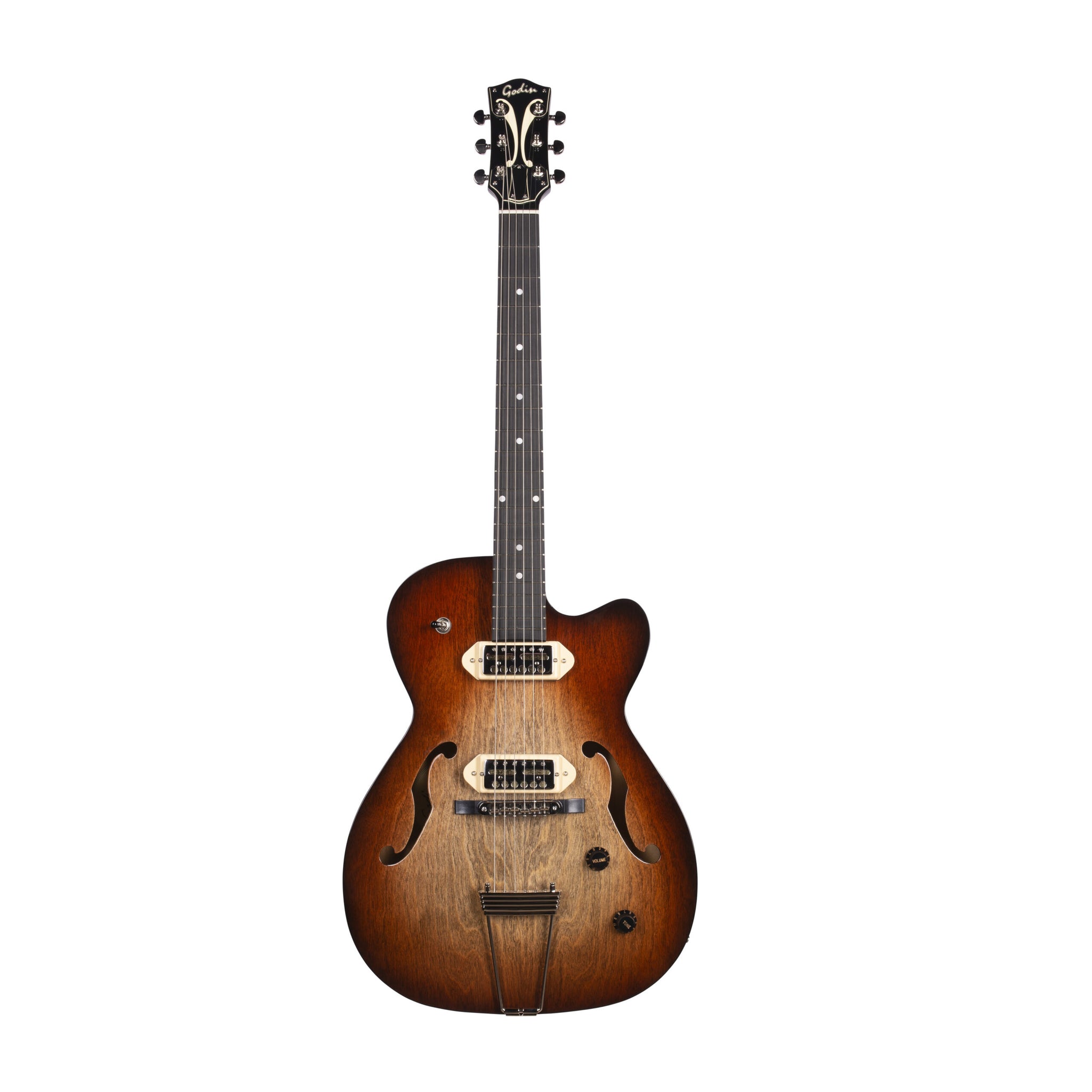 Guitares Godin et accessoires à vendre au Québec | Zedem